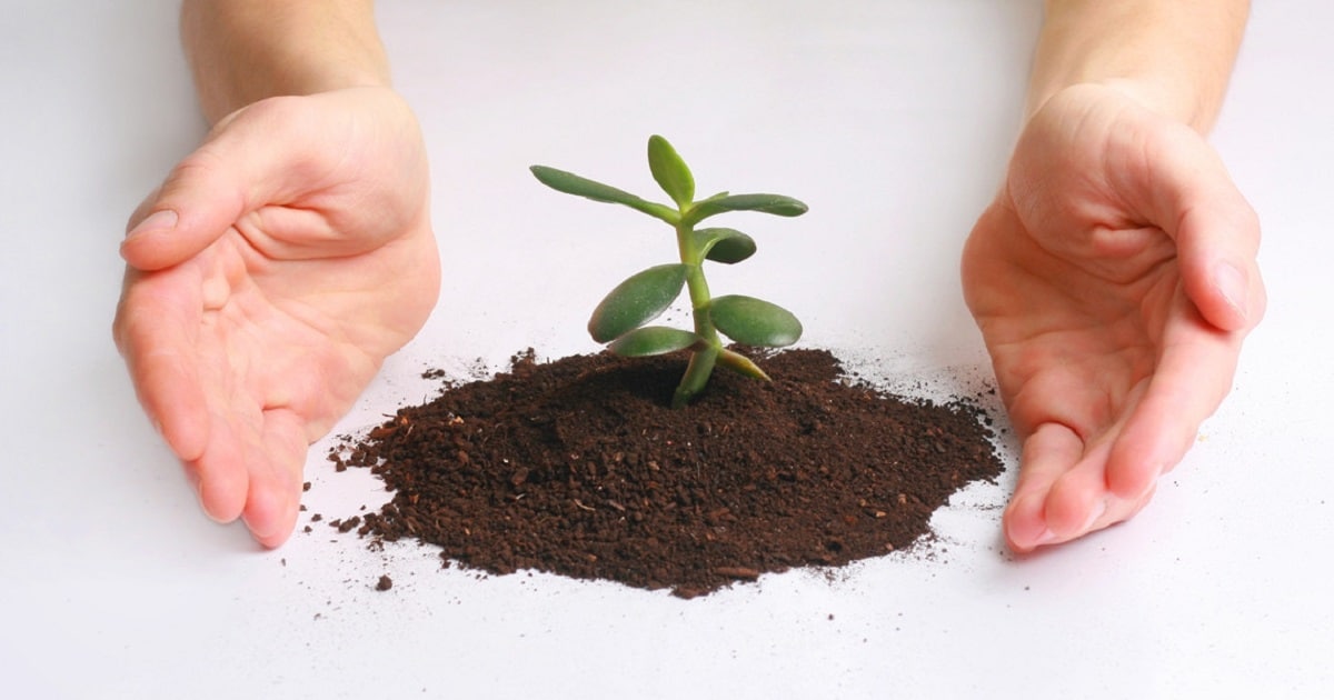 12 QUALITIES OF AN ENLIGHTENED PERSON | Triumphant Mind Lifestyle Magazine